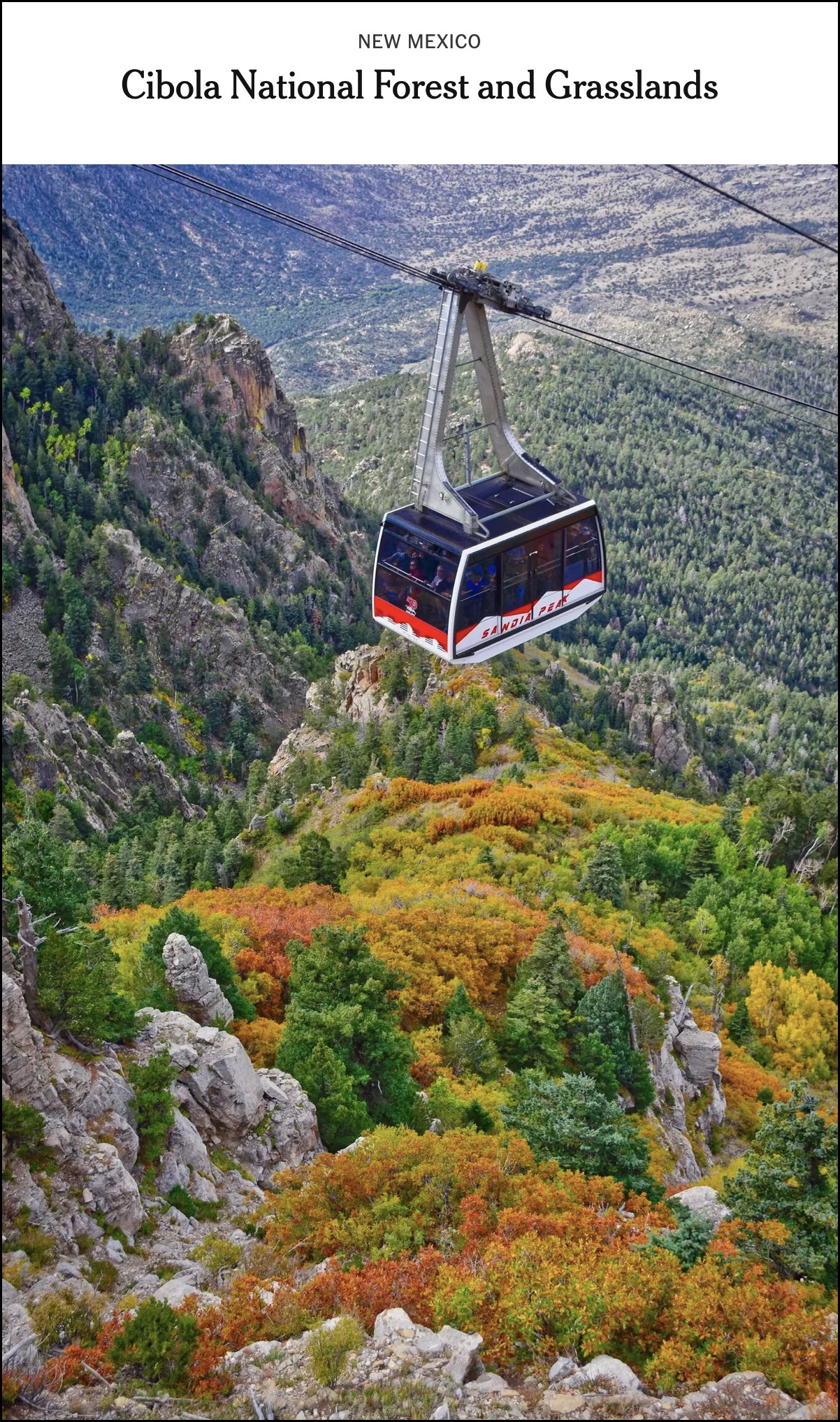 Fall colors – Friends of the Sandia Mountains